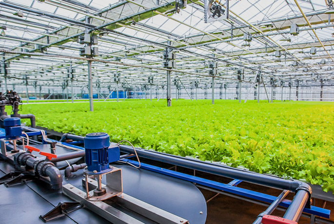 Commercial Hydroponic for sale,design,production,installation,training ...