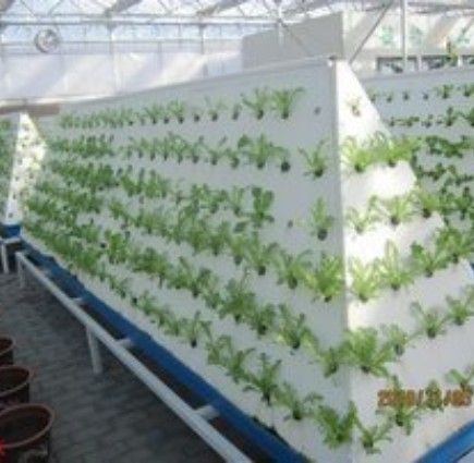 Vertical aeroponic system helps you realize the freedom of planting