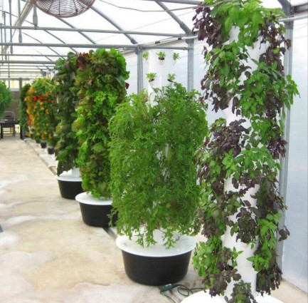 What kind of garden planting system do you want to have an indoor garden?