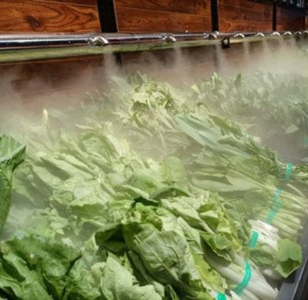 Aeroponic Growing System:The Best Indoor Planting System