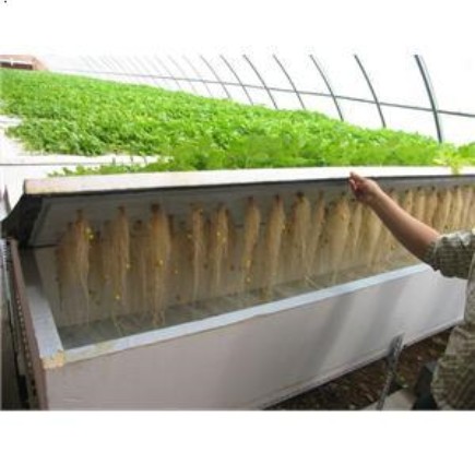 Aeroponic Growing System:The Best Indoor Planting System