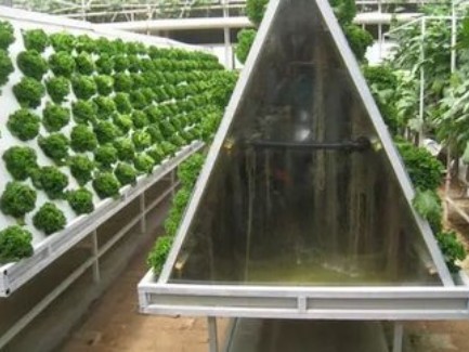Vertical Aeroponic System For Sale: Fast-growing And High-yield Indoor ...