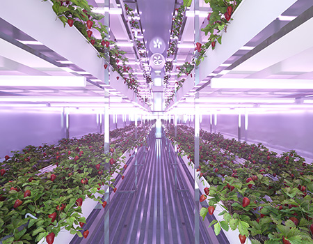 Commercial Hydroponic for sale,design,production,installation,training ...