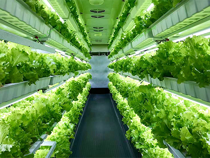 Container Farm: Hydroponics Technology Helps Increase Agricultural ...